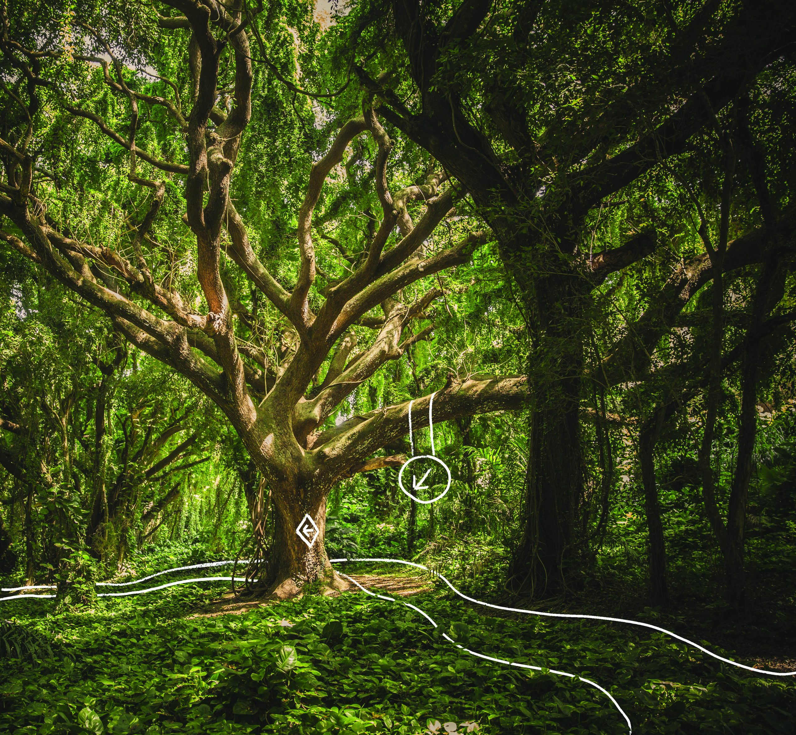 Incomparabilul Isus - Curierul Adventist